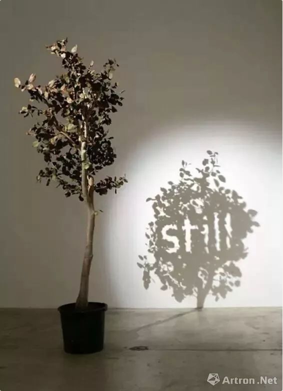 Rashad Alakbarov - iMedia