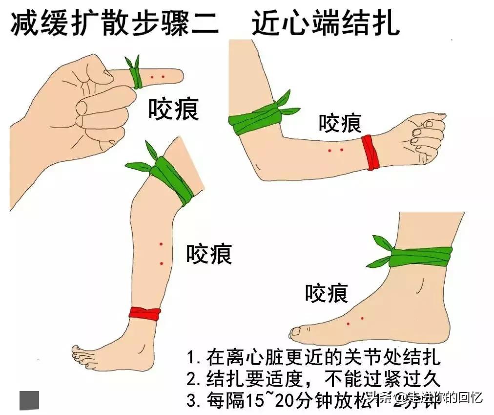 How poisonous is the five-step snake?Why is the five-pace snake called ...