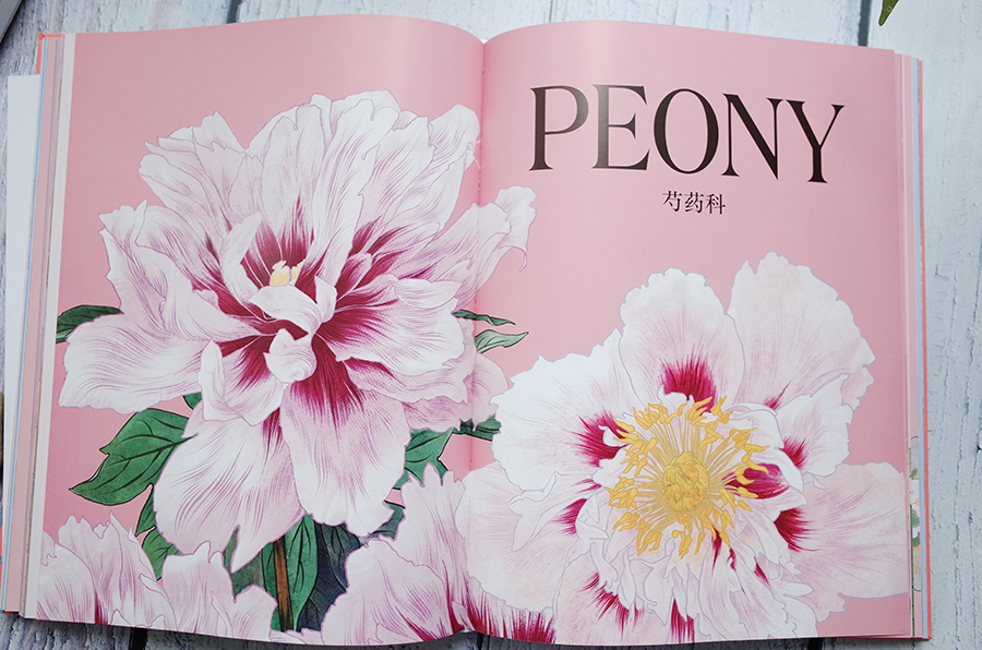 "The Gesture of Flowers": Botanical illustrations and a gospel for ...