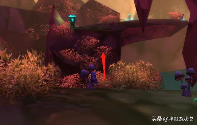 Warcraft TBC: A new way to directly tail the king in the Underbog - iMedia