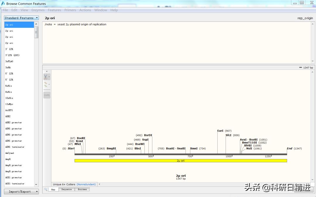 Use Snapgene for vector sequence analysis - iMedia