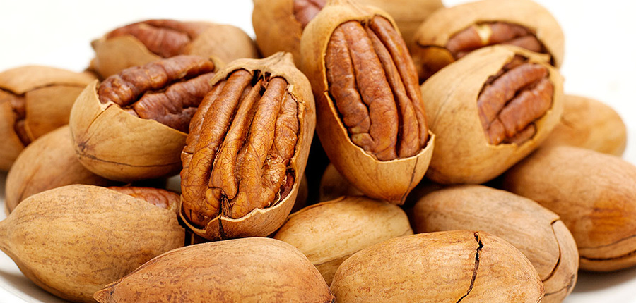 Longevity Fruit-Pecan - iMedia