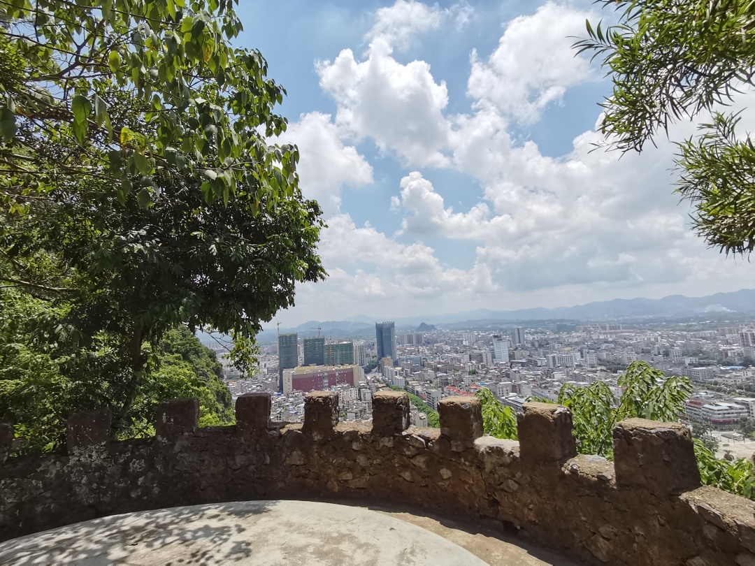 Where is the best lychee in China?These 4 places are famous, and one of ...