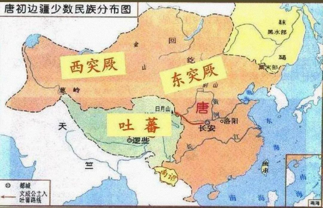 Xue Wanche, the fall of a star - iMedia