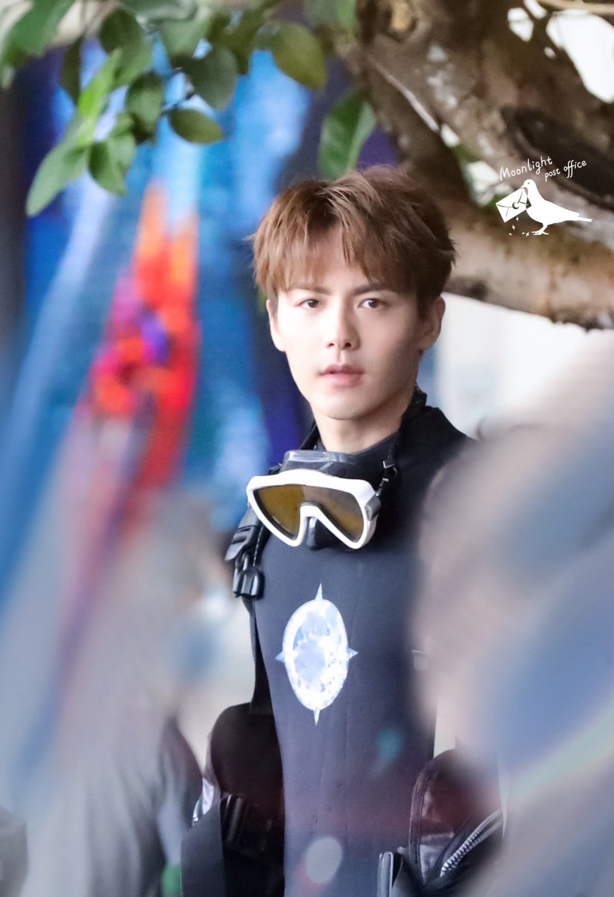 Ma Tianyu Jungle Adventure Fancy Diving is still that boy - iMedia