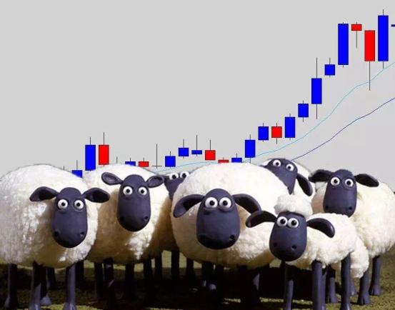 What is the herding effect?How can investors overcome the herding ...