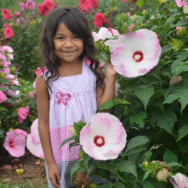 Big flower hibiscus sunflower-the flower is bigger than the face, the ...