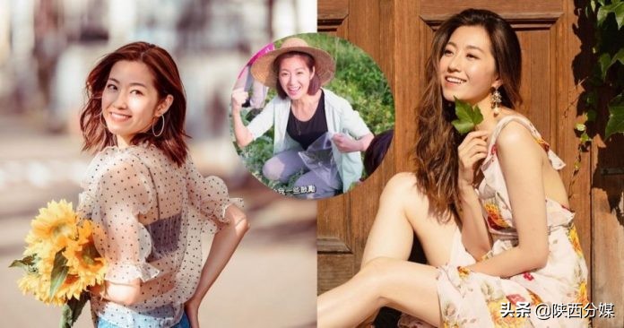 As the heroine of the new drama, Chen Ziyao "changed career" as a ...