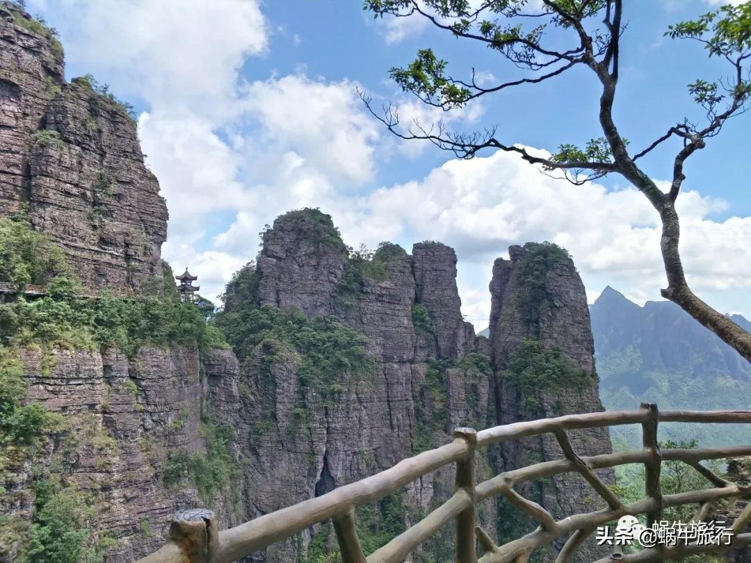 In Guangxi~Forest Adventure!Climbing to the top of the mountain, high ...