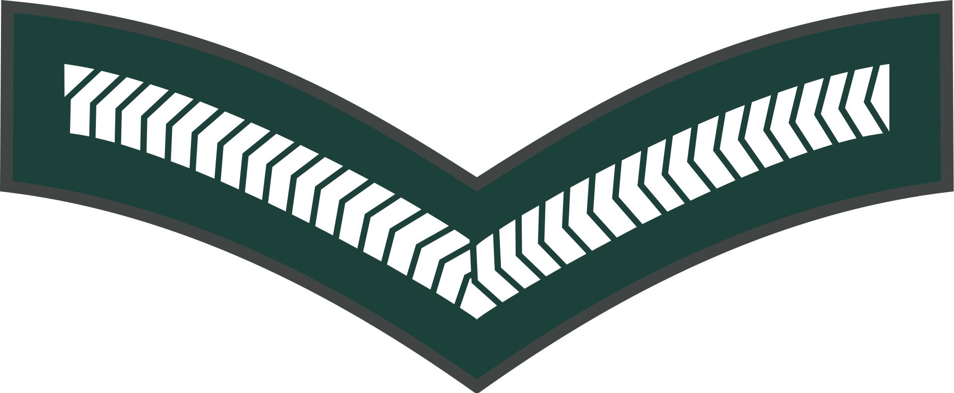 Military rank identification of each country: Gambia - iMedia