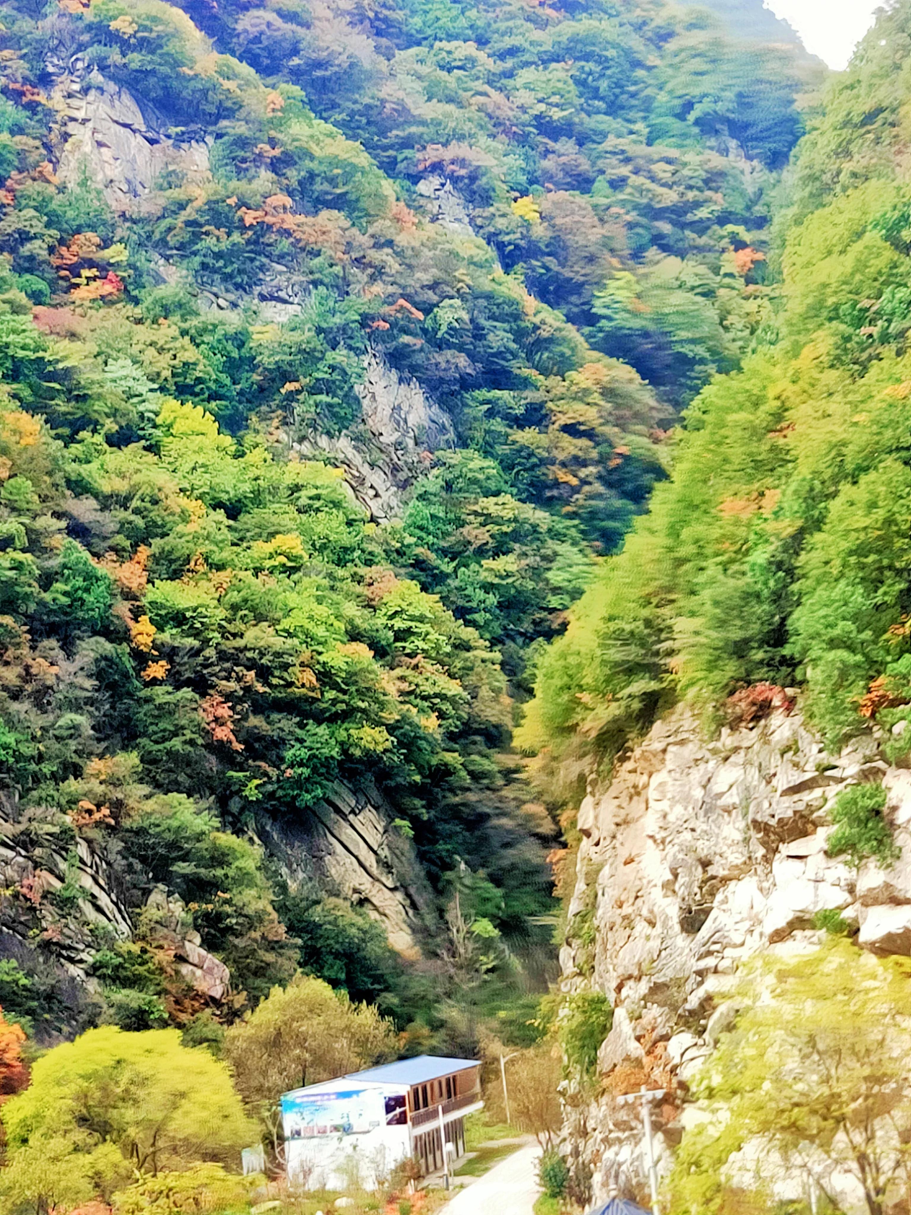 A trip to Jiaozhou-Red leaves of Qinling Mountains - iMedia