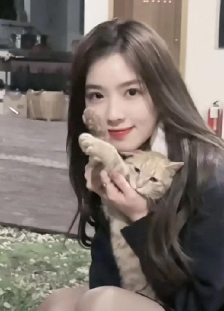 Wang Sicong and internet celebrity Sun Yining fought each other and ...