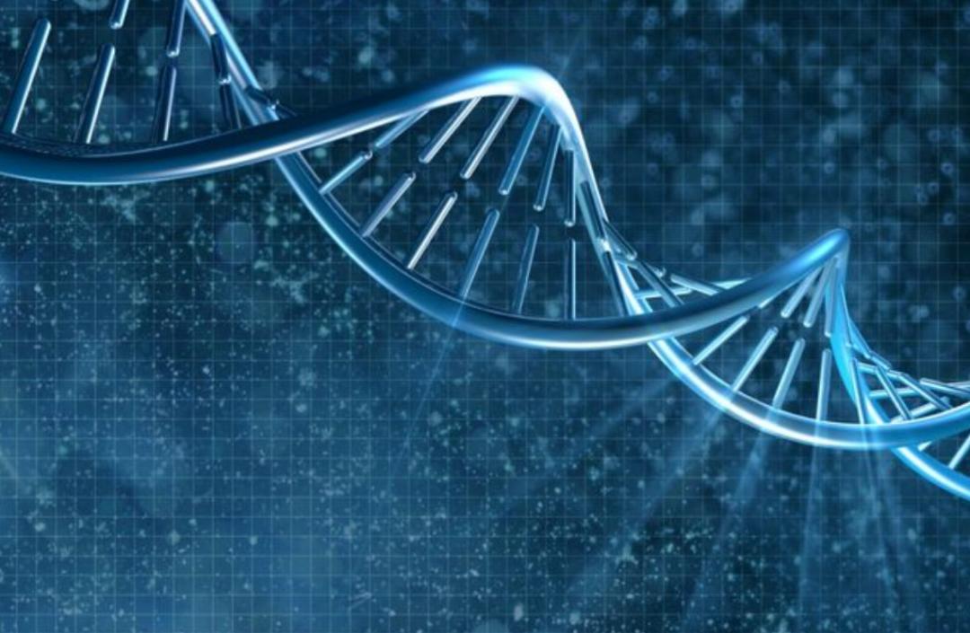 Why do male cats have barbs?Does it scratch the female cat when it ...