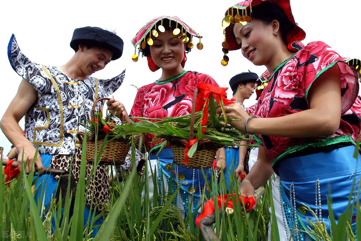 Collection of 56 Chinese Nationalities (7) - iMedia