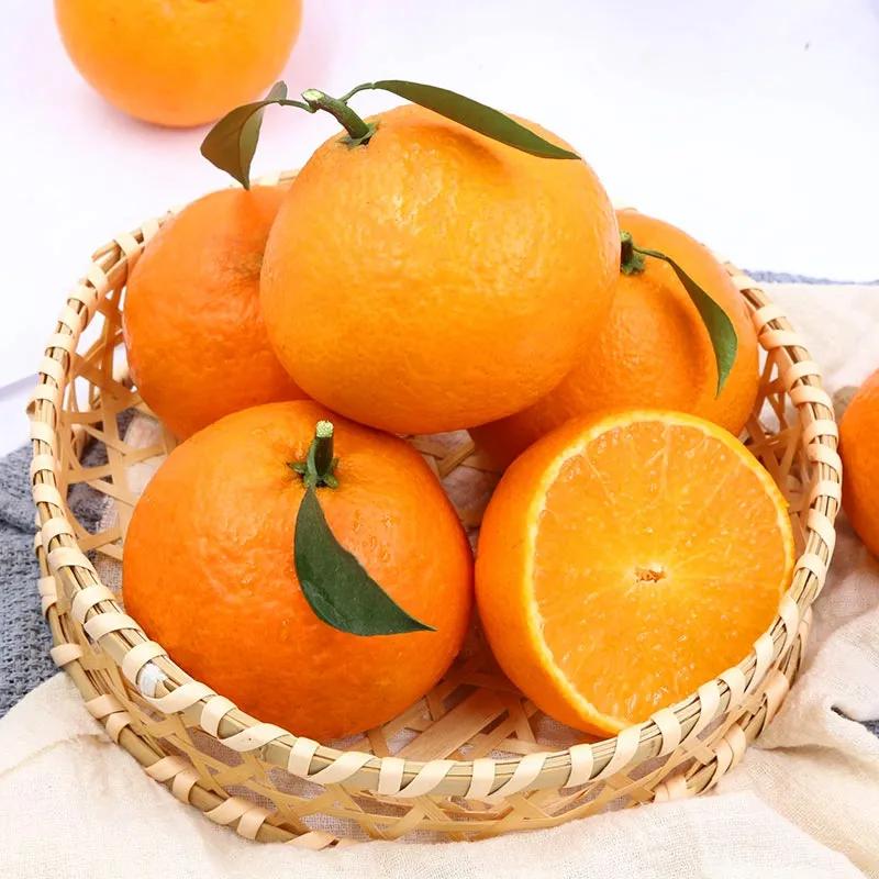 Ehime Jelly Orange that can be drunk directly, the flesh is full ...