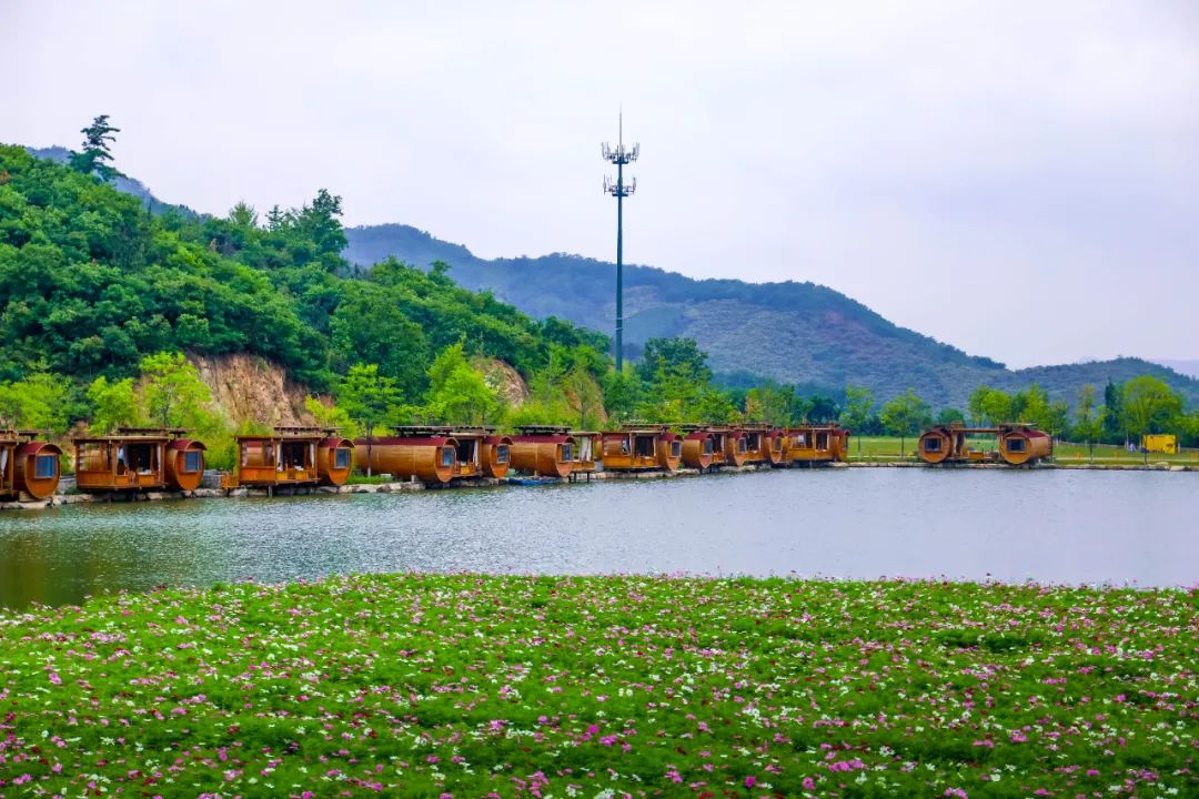 The filming rate is 100%!Swimming pools, camping, parties... Jinan is a ...