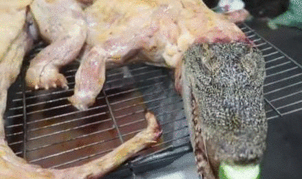 Guangxi ate roasted pig eyes and stared at a plate of food all night ...