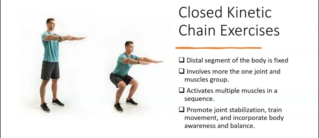 What is the difference between open chain movement and closed chain ...