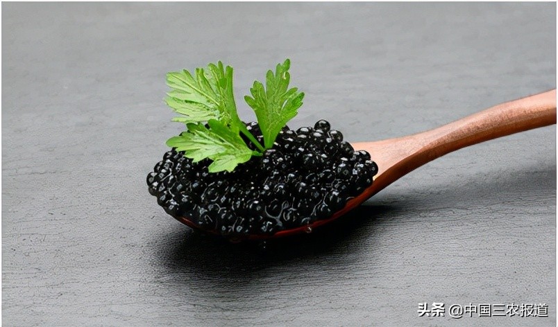 The top ingredient caviar is produced in China?Most of these "foreign ...