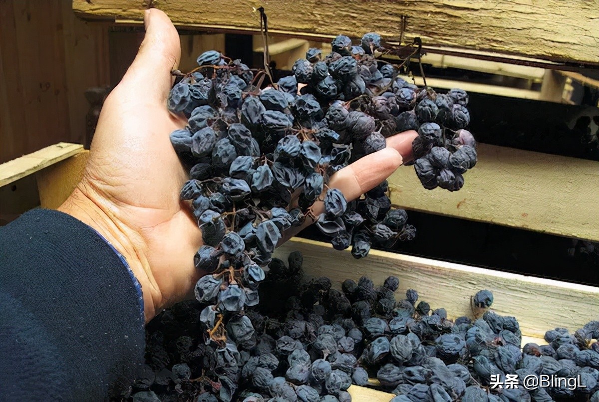 Italian fine wines-Amaroni - iMedia