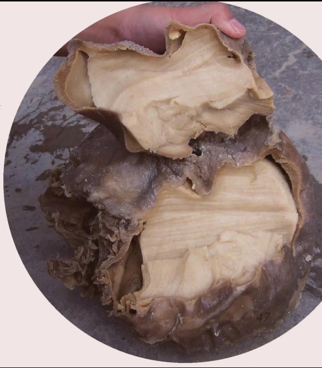 What is Tai Sui? - iMedia