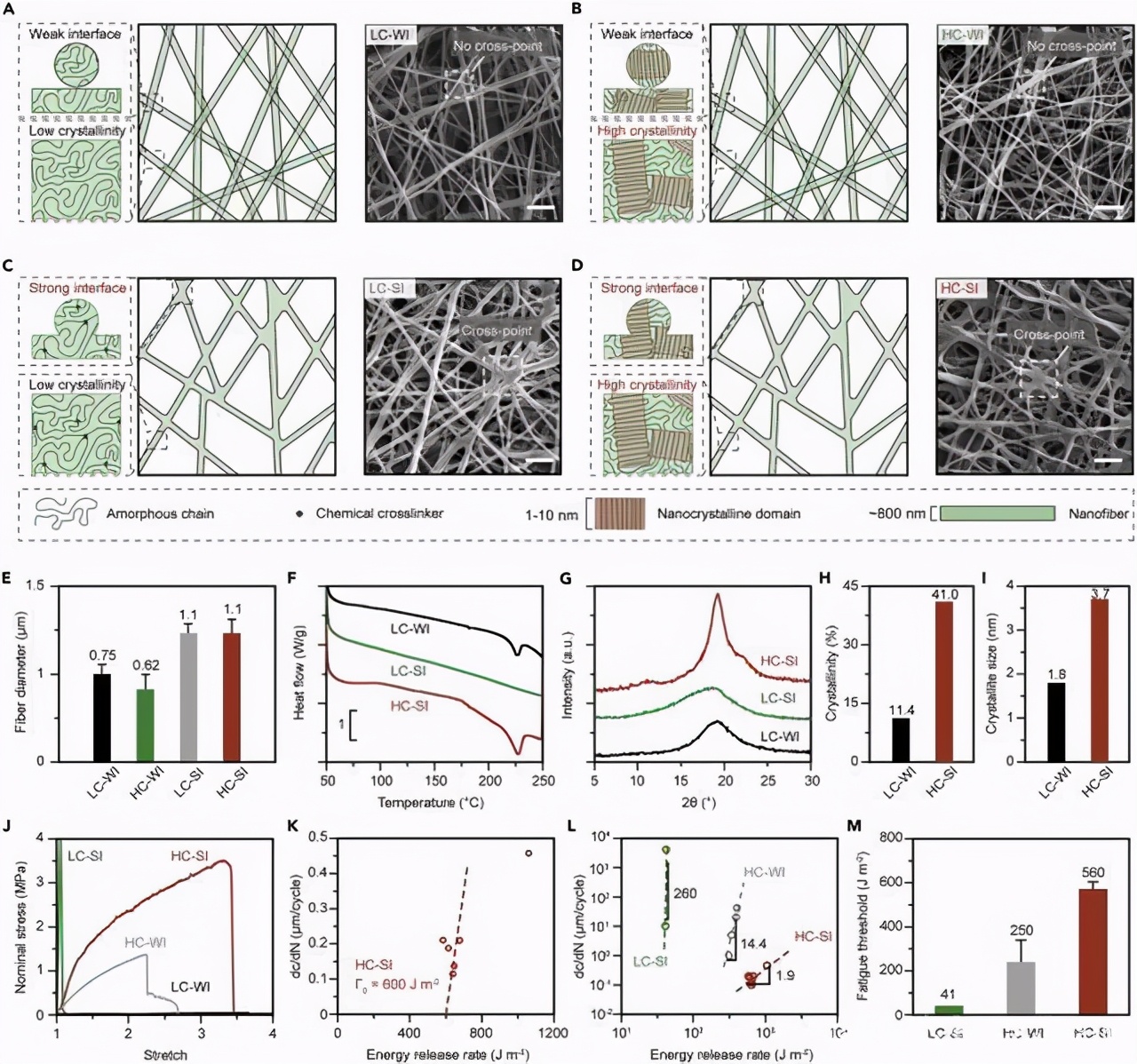Inspired by "lobster", MIT Zhao Xuanhe team developed a highly anti ...