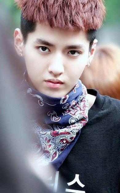 Wu Yifan went in, number 1337000, fans have gone crazy - iMedia