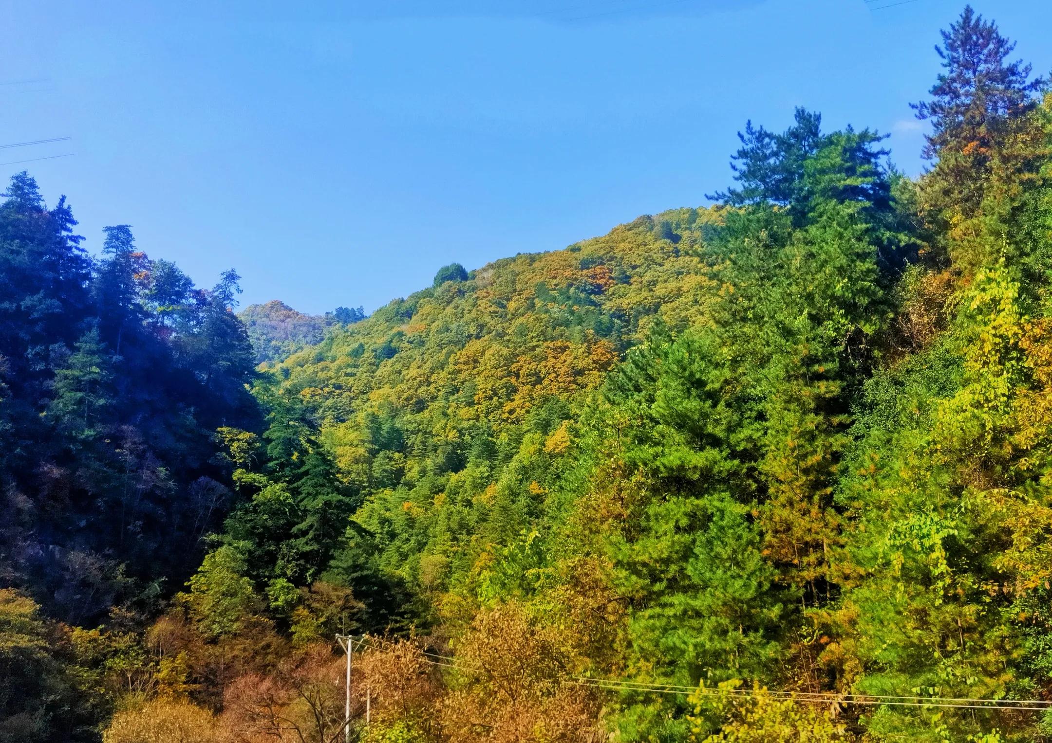 A trip to Jiaozhou-Red leaves of Qinling Mountains - iMedia