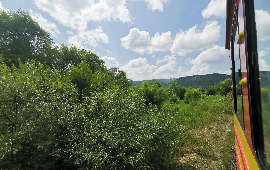 Walk into Mordaga National Forest Park - iMedia