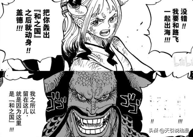 One Piece: What do you think about the appearance of Kaido's daughter ...