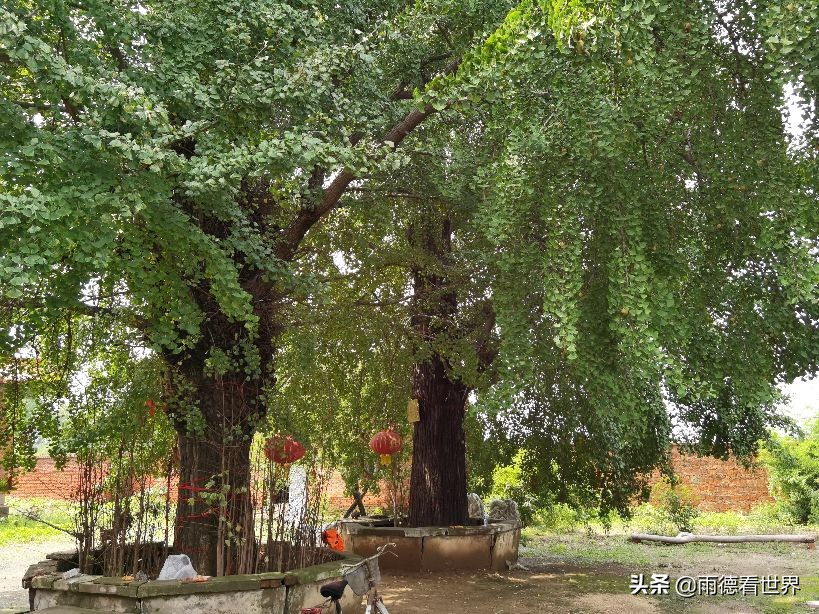 The ancient city of Yeyi finds the truth about the allusions of Ye Gong ...