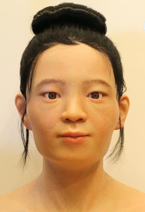 Are the Japanese descendants of the Han Chinese?The results of a study ...