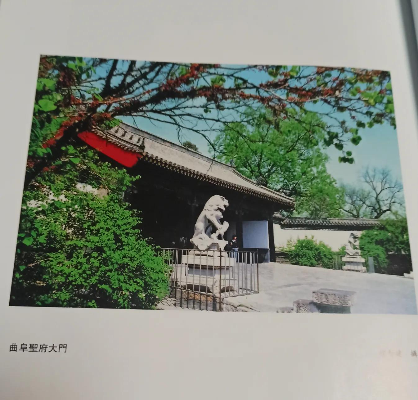 Confucius Family Tree Sequence - iMedia