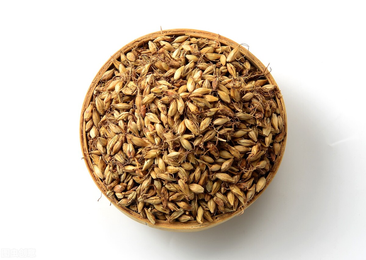 Malt and rice sprouts of traditional Chinese medicine for strengthening ...