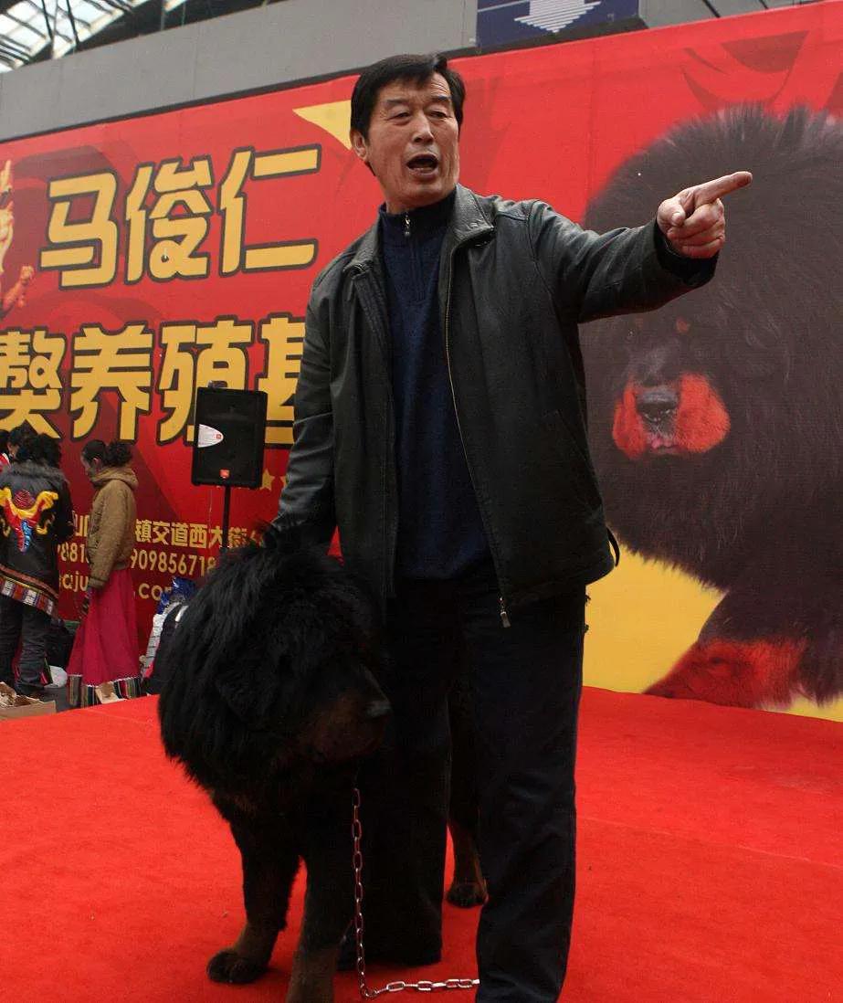 Ma Jiajun coach Ma Junren: I created my own Chinese soft-shelled turtle ...