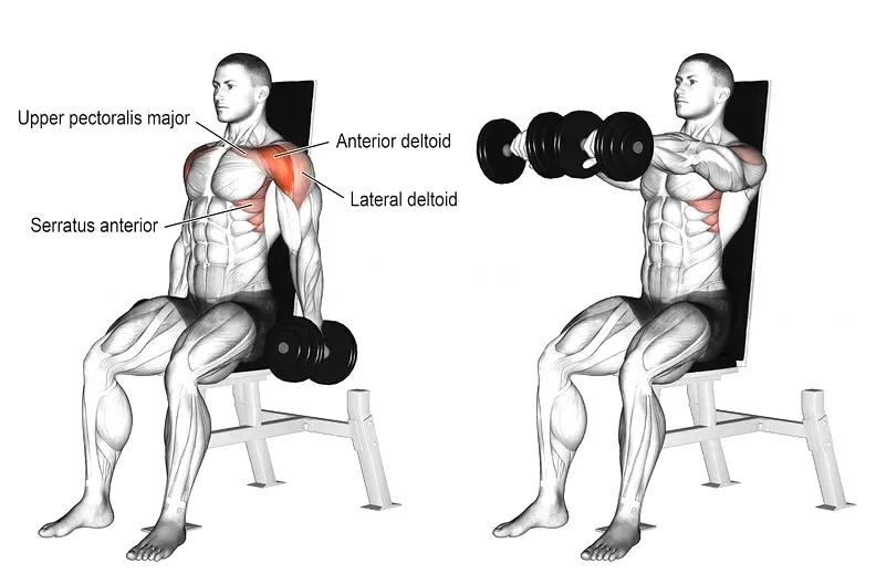 Yao Fitness Exercises All Over The Body You Only Need A Pair Of yao-fitness-exercises-all-over-the-body-you-only-need-a-pair-of