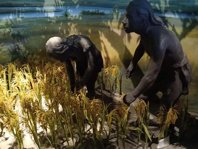 General History of China-The Evolutionary Biography of Human Life from ...