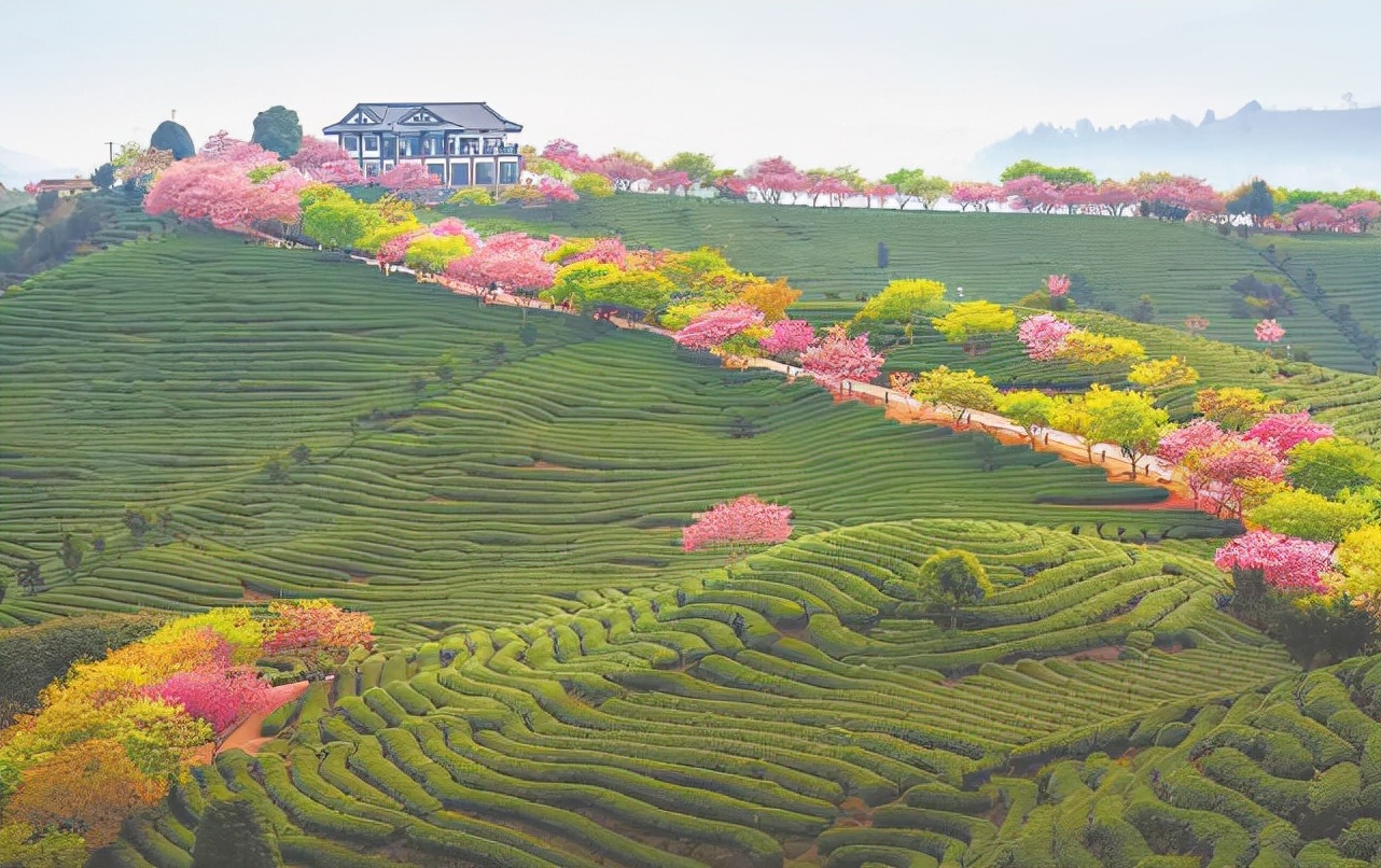 This is Longyan Yongfu, not Dali Wuliang Mountain Cherry Blossom Valley ...