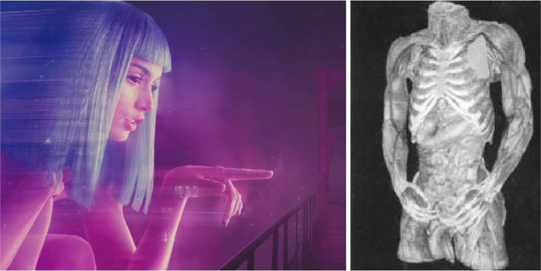 A virtual Human That Requires Anatomical Slices To Build Part 1 a-virtual-human-that-requires-anatomical-slices-to-build-part-1