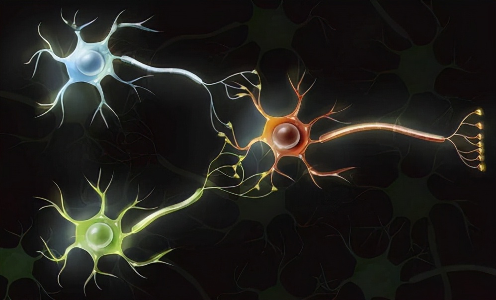 Angong Niuhuang Pill is 860 capsules, is it true?Can it help treat ...