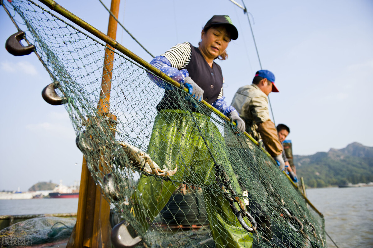 The Yangtze River without fish - iMedia
