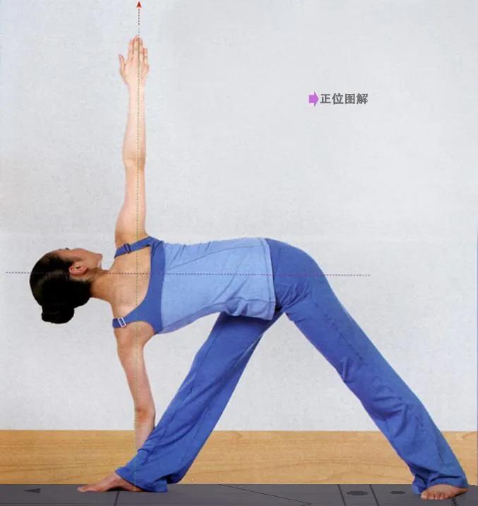 Meet the most beautiful self!Healthy Yoga, Triangle Twist Stretch - iMedia