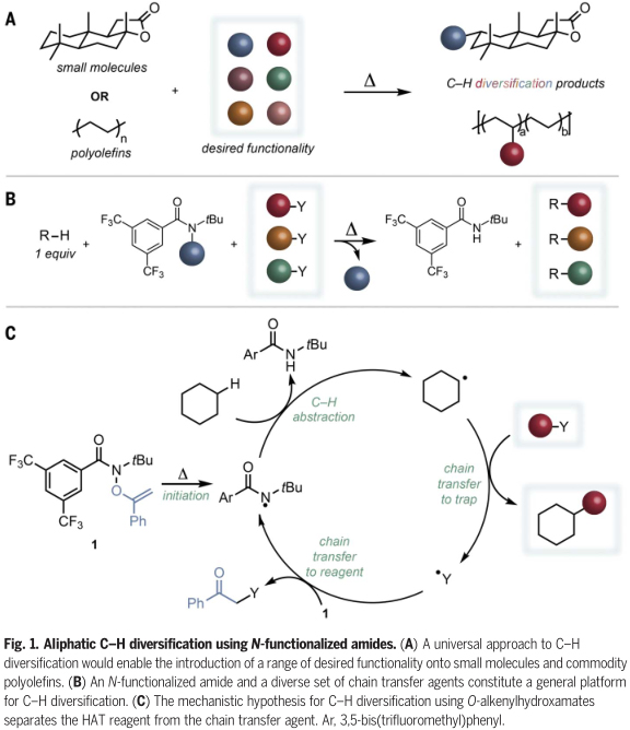Diversification of aliphatic CH bonds via radical chain transfer in ...