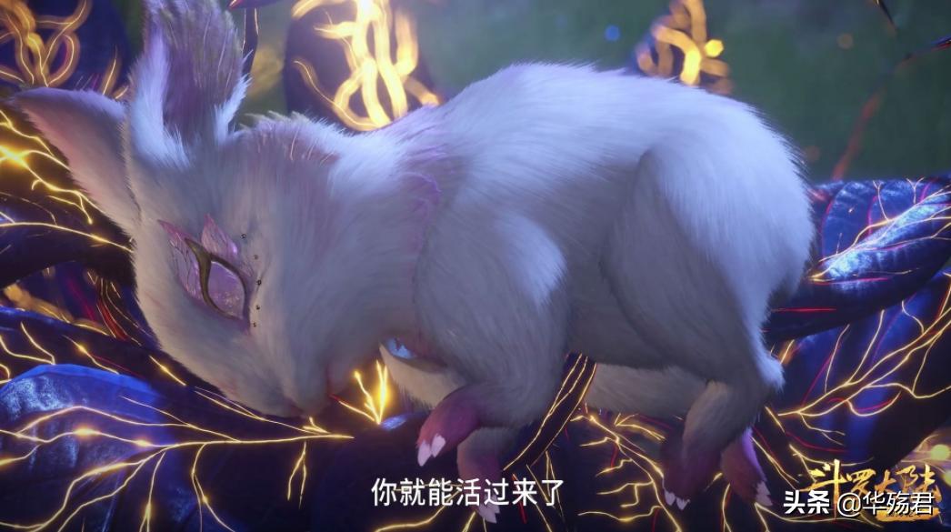 Xiao Wu's sacrifice is the most touching moment?This is so on the ...