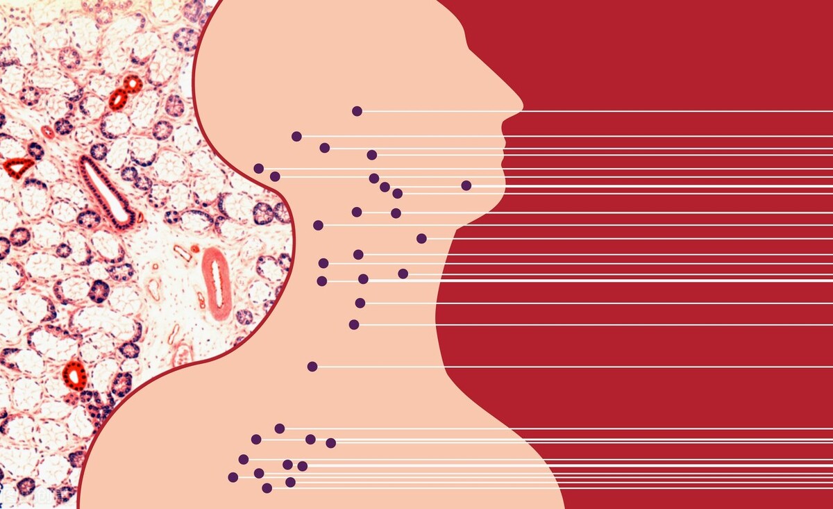 Causes of frequent nocturnal emission in men and related treatment - iMedia