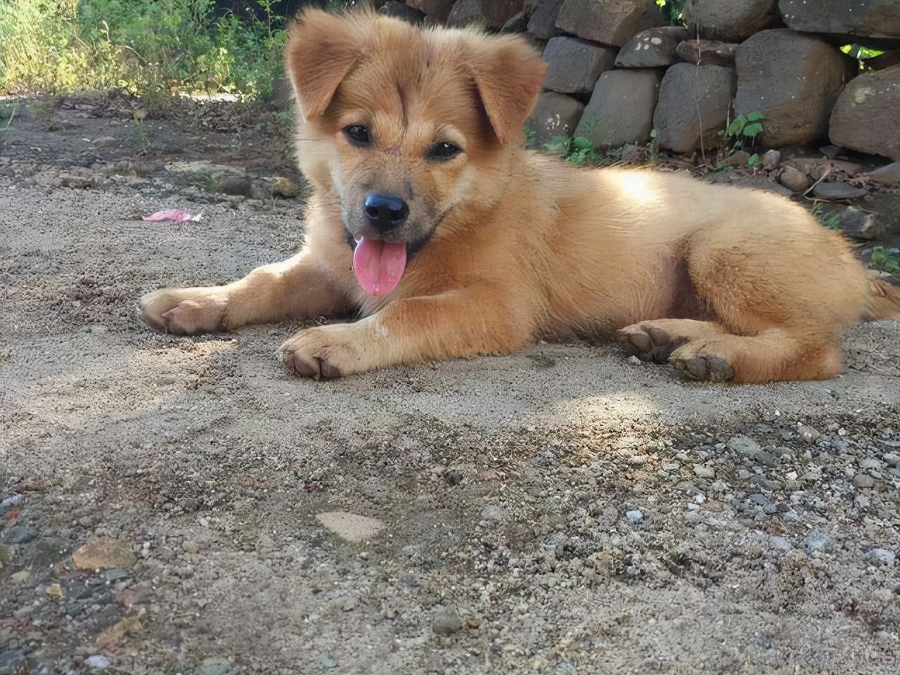 What you don't know about "Tugou" - iMedia