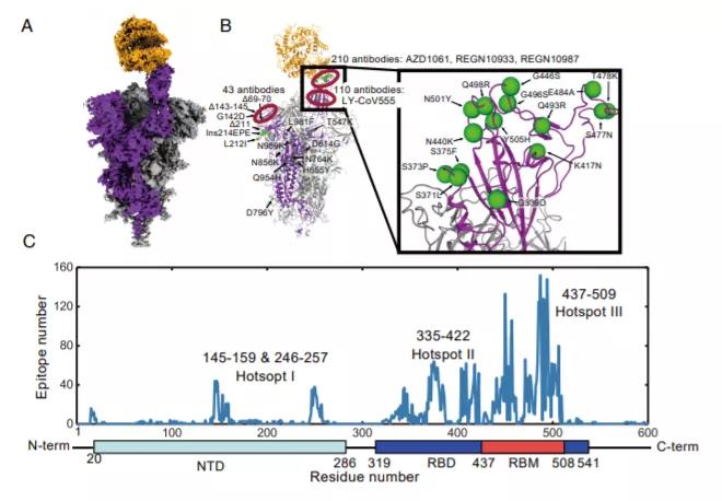 Chinese scientists jointly tackle Omicron mutant spike protein - iMedia