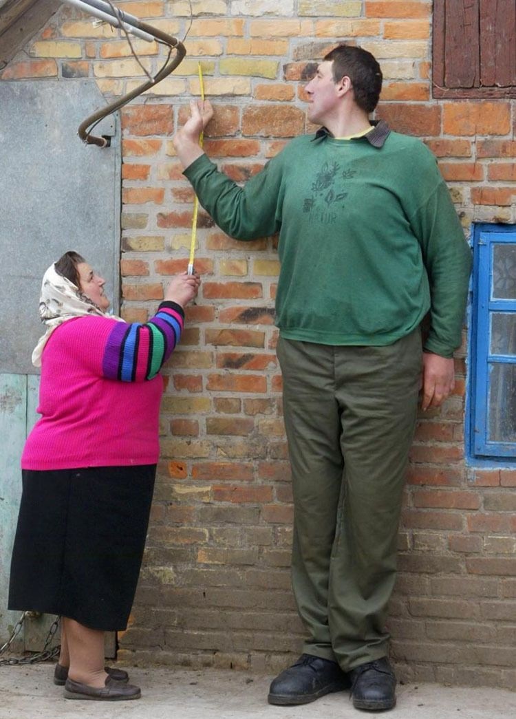 How tall can a human be?The tallest is 3.61 meters, their height is ...