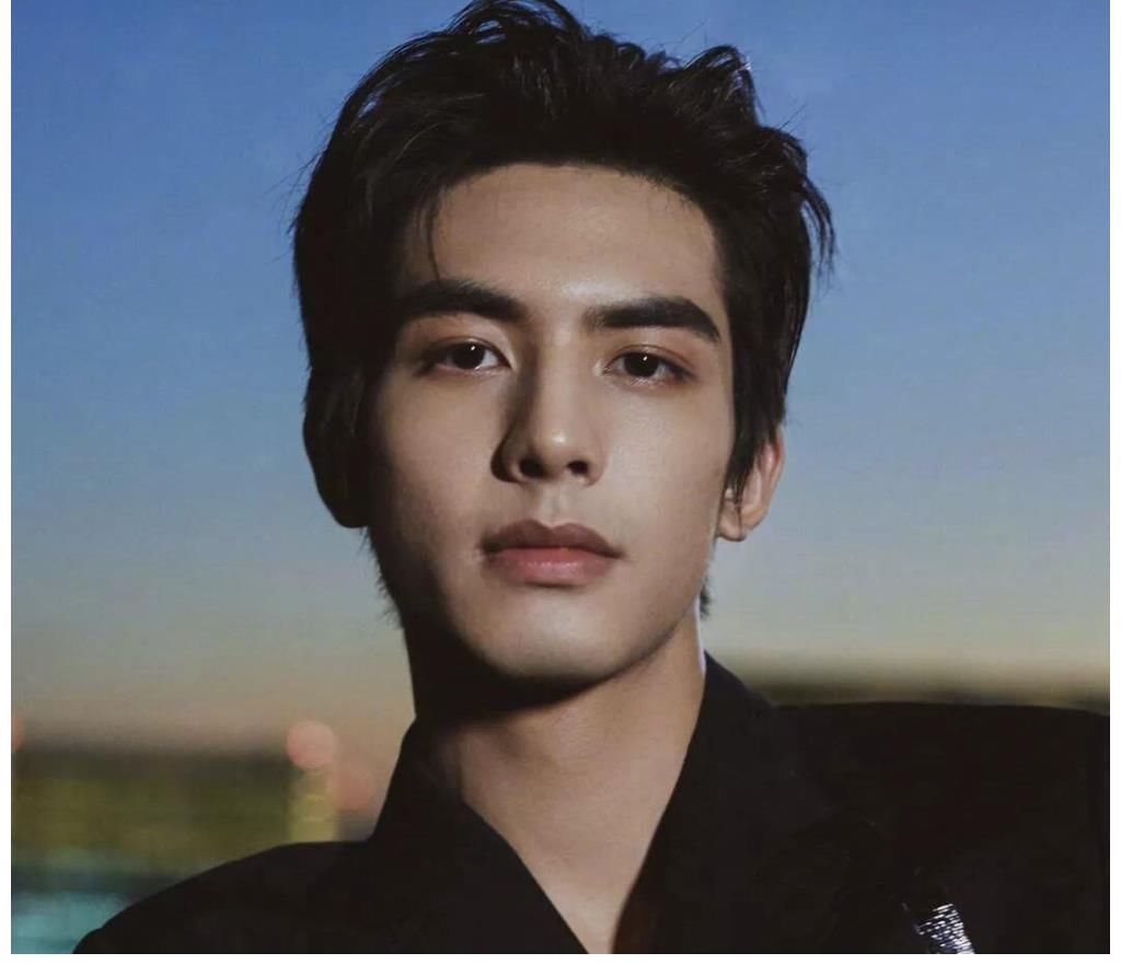 Song Weilong: The first time from a model crossover actor, partner Chen ...