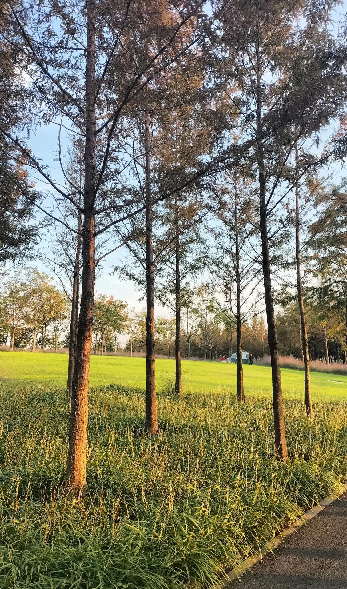 Take a photo of Shanghai Gucun Park - iMedia